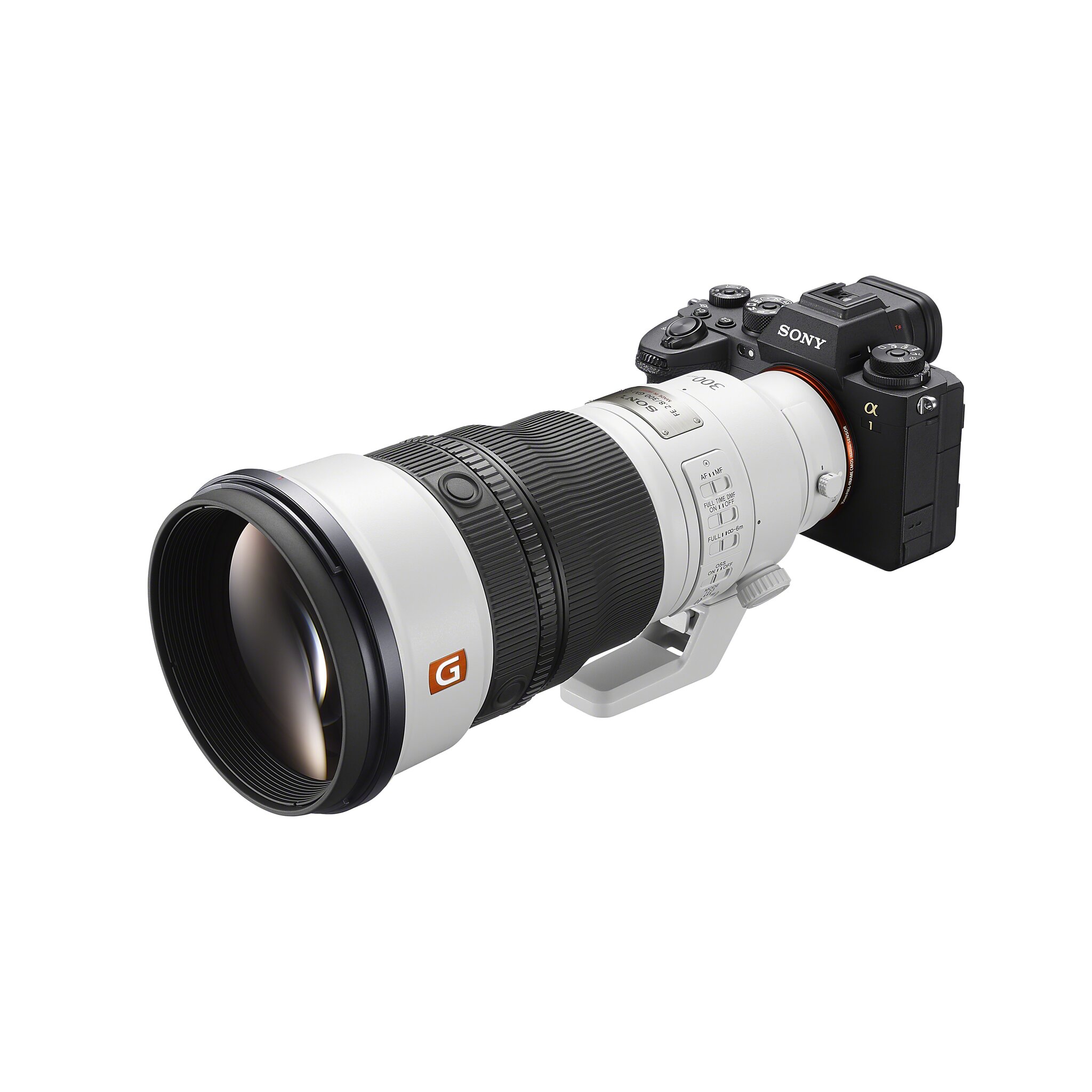 Sony FE 300 mm F2.8 GM OSS | Teleobiettivo full-frame G Master ...